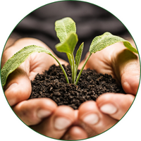 Certified Reference Standards | CPI International